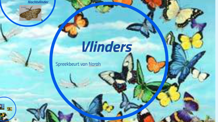 Spreekbeurt vlinders by Susan Dalmolen on Prezi