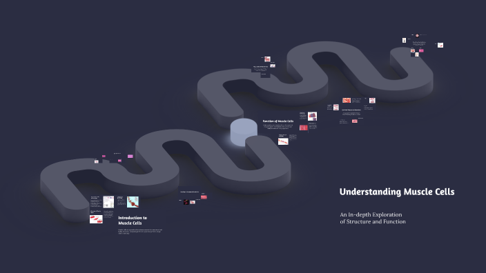 Understanding Muscle Cells by Carson Beal on Prezi