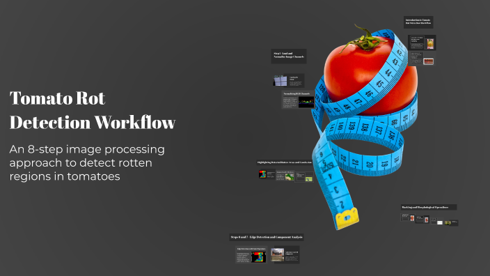Tomato Rot Detection Workflow by mohammed sameh on Prezi