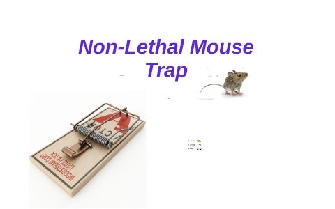 Non-Lethal Mouse Trap by Kyoka Stone on Prezi