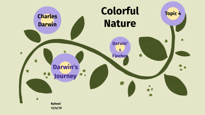 Darwin's finches research by Raheel Faraz on Prezi