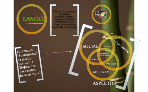 SUSTENTABILIDAD DEL BAMBÚ by Iván Castelán on Prezi