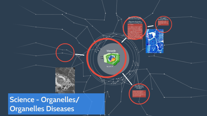 Science - Organelles/Organelles Diseases by John Richards on Prezi