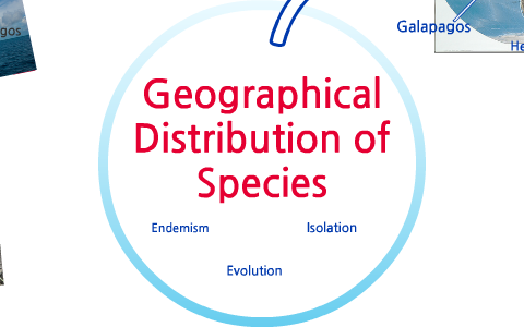 Geographical Adaptations of Species by James Madoc-Jones