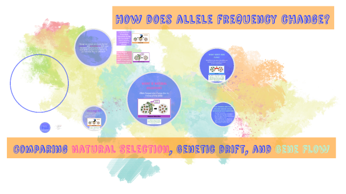 Genetic Drift, Natural Selection, and Gene Flow by Aira Foster on Prezi