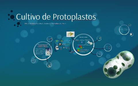 Protoplastos by Maria Jose Bermudez on Prezi