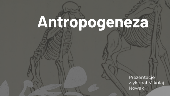 Antropogeneza by Mikołaj Nowak on Prezi