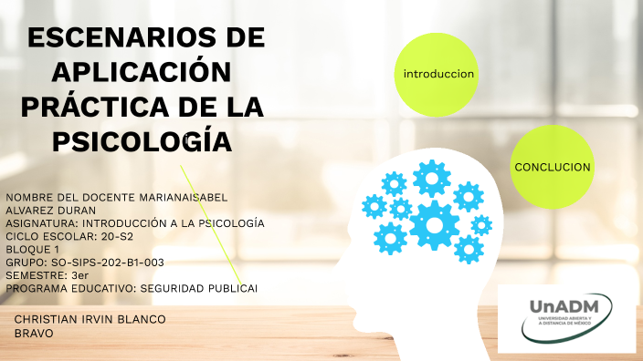 ESCENARIOS DE APLICACIÓN PRÁCTICA DE LA PSICOLOGÍA by Christian irvin ...