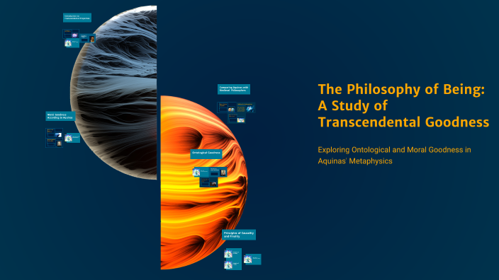 The Philosophy of Being: A Study of Transcendental Goodness by Lawrence ...