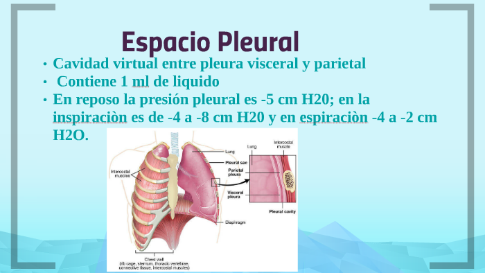 Espacio Pleural by Jimena Alaniz on Prezi