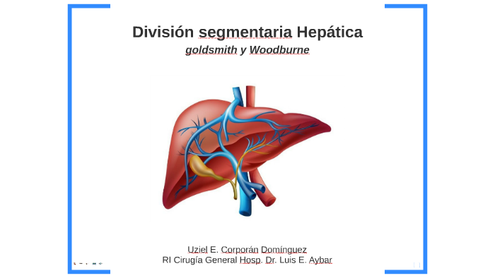 Division segmentaria Hepatica by Oziel Medina on Prezi