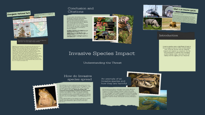 Invasive Species in Florida by Jaden Rios on Prezi