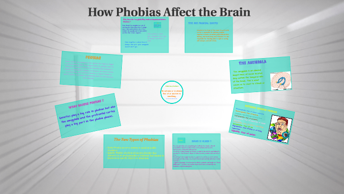 How Phobias Affect the Brain by Myia Allen on Prezi