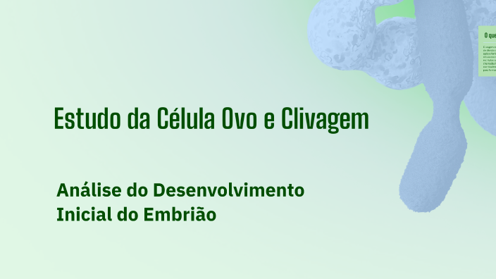Estudo da Célula Ovo e Clivagem by david pietro on Prezi