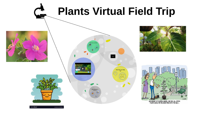 Plants Virtual Field Trip by Megan Wonson on Prezi