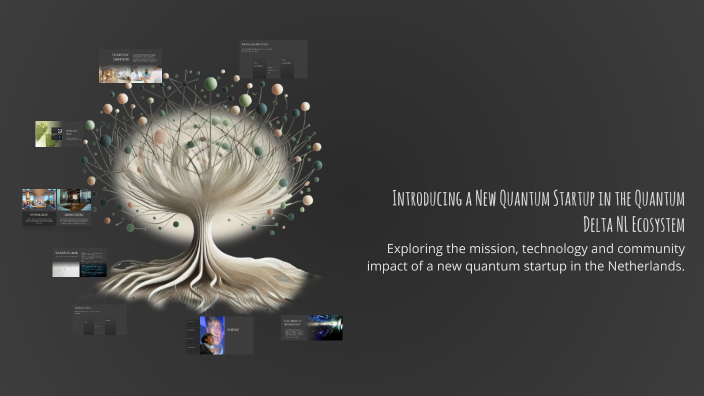 Introducing a New Quantum Startup in the Quantum Delta NL Ecosystem by ...