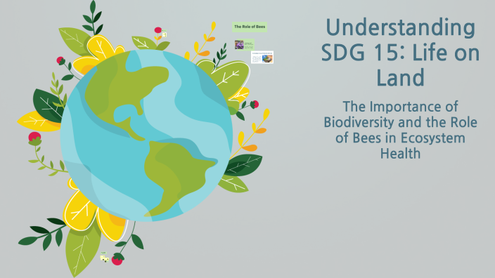 Understanding SDG 15: Life on Land by 2325 전시은 on Prezi