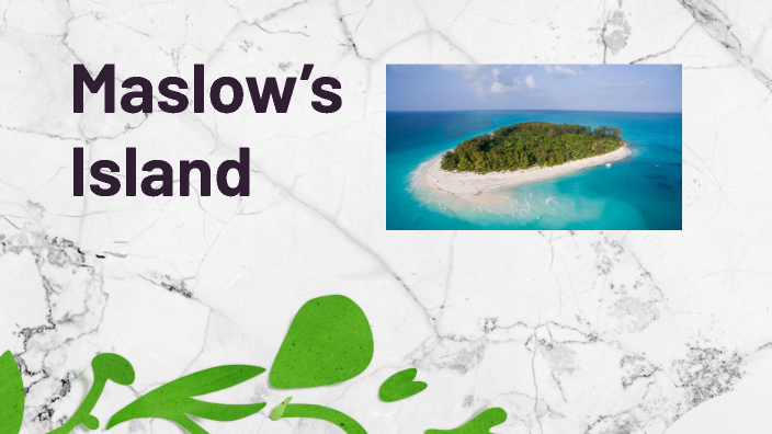 A2-MAM1020-Consumer Behavior-SH by Sheza Hassan on Prezi