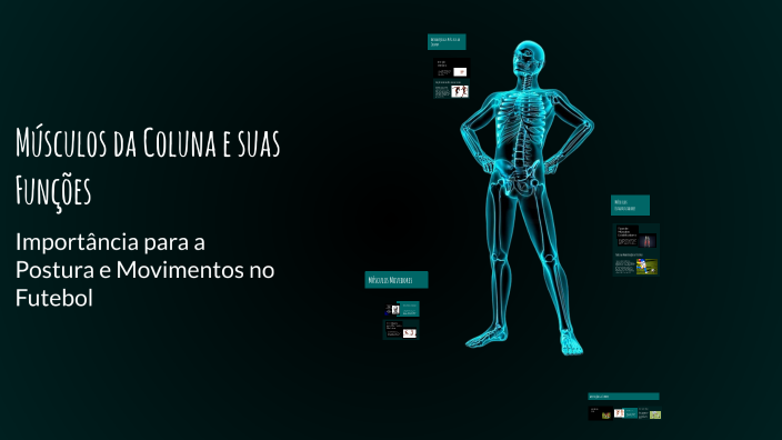 Músculos da Coluna e suas Funções by Stanley Filho on Prezi