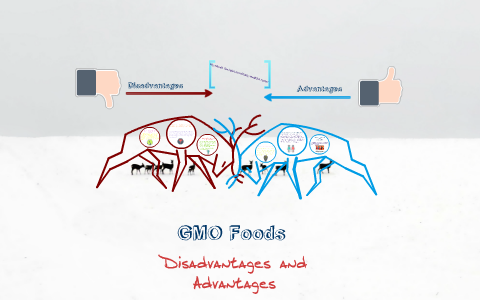 Advantages and Disadvantages of GMO Foods by Sophia Ramos on Prezi