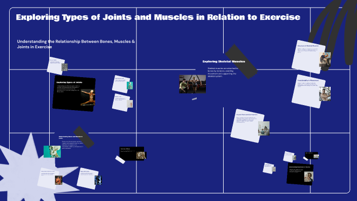 Exploring Types of Joints and Muscles in Relation to Exercise by ...