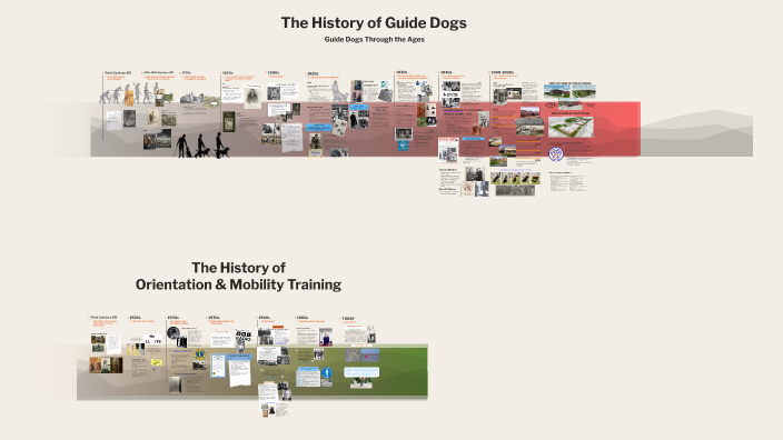 The History of Guide Dogs by Ashley Day on Prezi