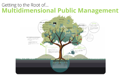 Multidimensional Public Management 6062 by Caroline Dennis on Prezi