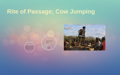 Rite of Passage; Cow Jumping by Katy Johnson on Prezi
