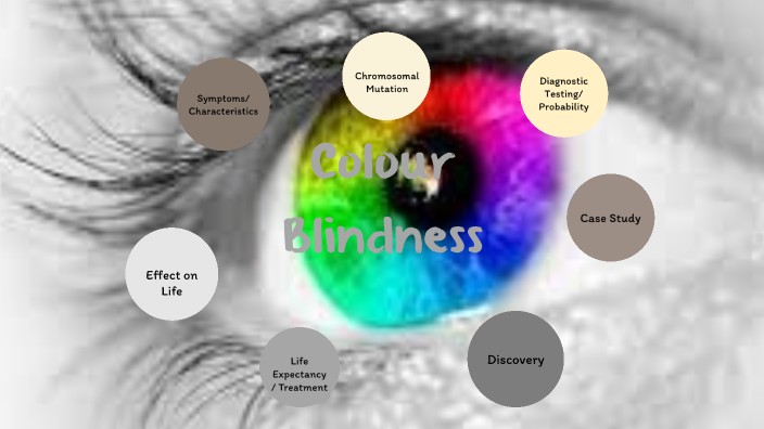 Colour Blindness Biology by Lucian Nikolov on Prezi
