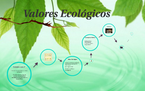 Valores Ecológicos by on Prezi