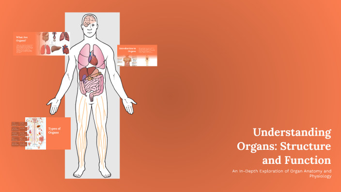 Understanding Organs: Structure and Function by Rany Chibane on Prezi