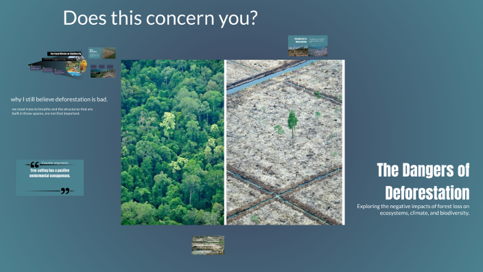 The Dangers of Deforestation by Canon Peters on Prezi