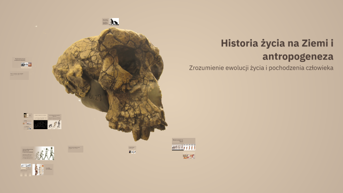 Historia życia na Ziemi i antropogeneza by Jakub Pawłowski on Prezi