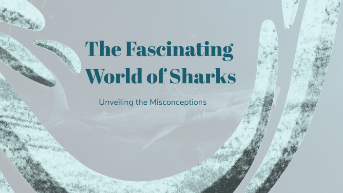 The Fascinating World of Sharks by Angelika Nicole Gevero on Prezi