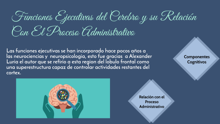 Funciones Ejecutivas Del Cerebro By Alejandra Moreno On Prezi