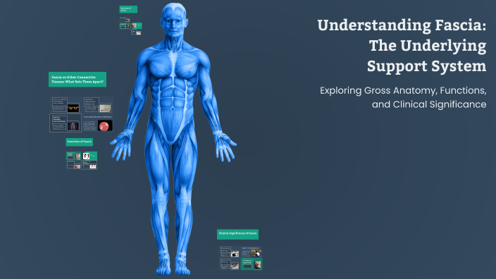 Understanding Fascia: The Underlying Support System by mohamad rastin ...