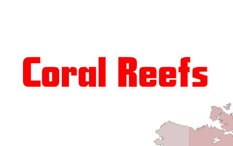 Marine Bio Coral Reefs by Meghan Baugh on Prezi