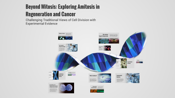Beyond Mitosis: Exploring Amitosis in Regeneration and Cancer by Esmif ...