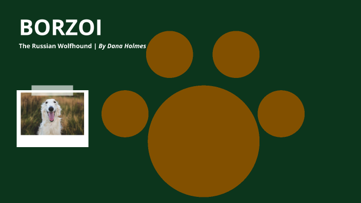 Dog Breed Project by Dana Holmes on Prezi