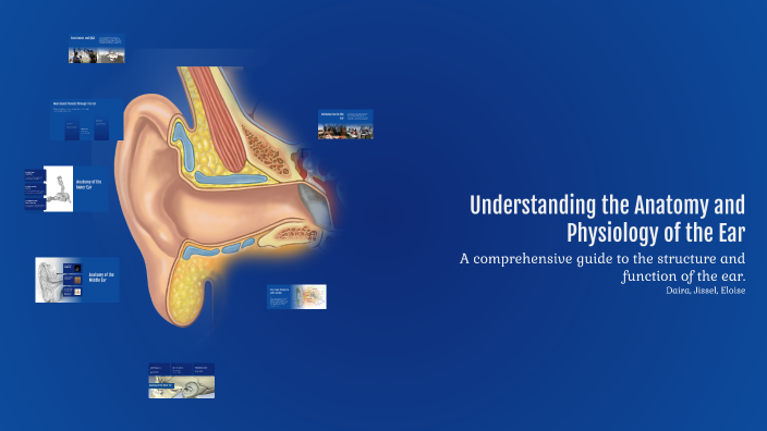 Understanding the Anatomy and Physiology of the Ear by Ma.Eloise Braga ...