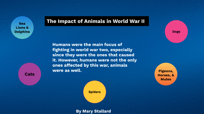Animals in WW2 by Mary Stallard on Prezi