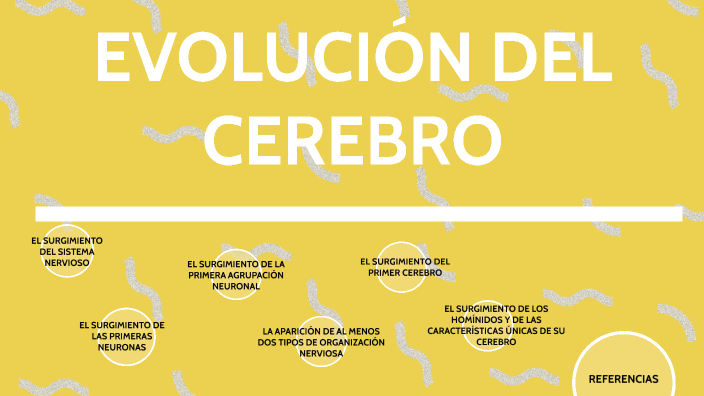 EVOLUCIÓN DEL CEREBRO: 🧠 by KATHERINE ROJAS PARRA on Prezi