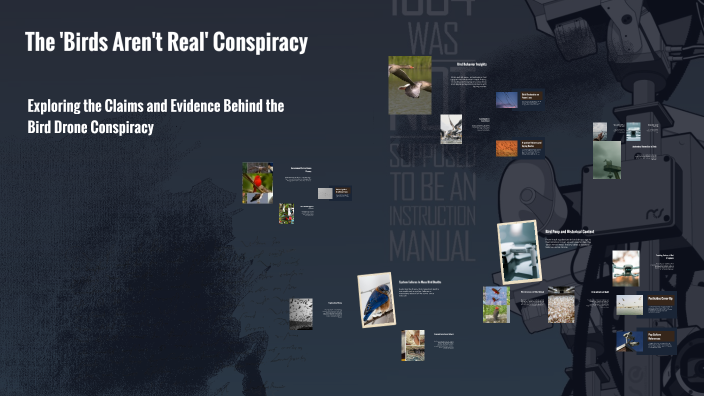 The 'Birds Aren't Real' Conspiracy: Decoding the Satirical Theory by ...