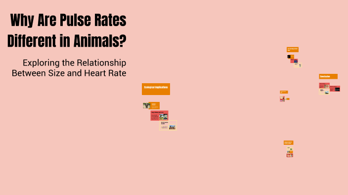 Why Are Pulse Rates Different in Animals? by sophia hill on Prezi