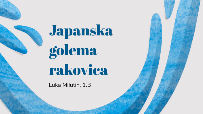 Japanska golema rakovica by Luka Milutin on Prezi