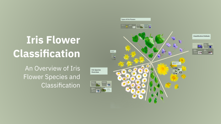 Iris Flower Classification by Joseph kumar on Prezi