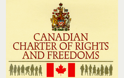 Democratic and Mobility Rights from the Canadian Charter of Rights and ...
