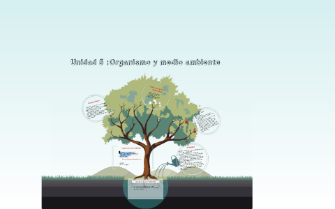 Unidad 5 :Organismo y medio ambiente by Romina Márquez on Prezi