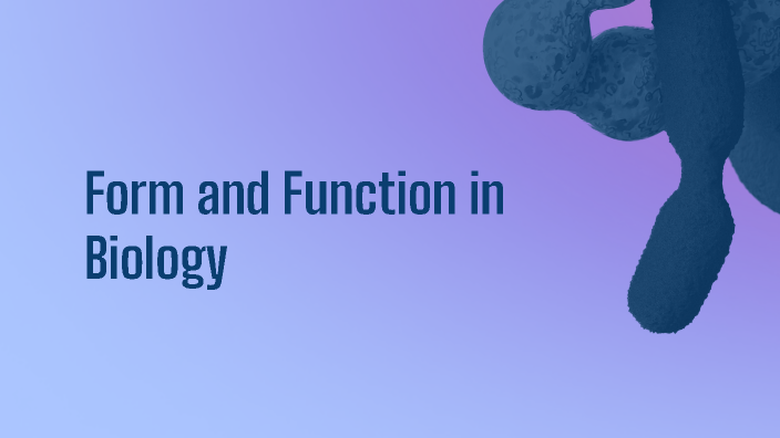 ib biology form and function by aayah ragheb on Prezi