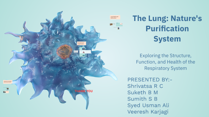 The Lung: Nature's Purification System by Suketh BM on Prezi